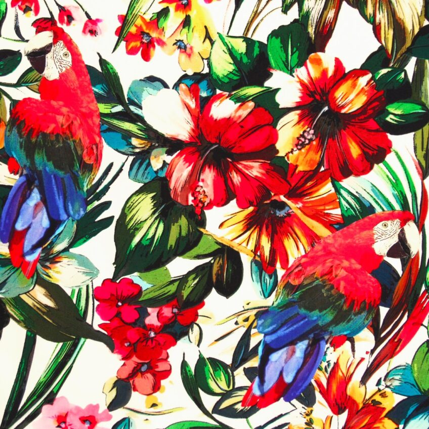 Ditto Fabrics – Ex Designer Dressmaking Fabric | Brighton